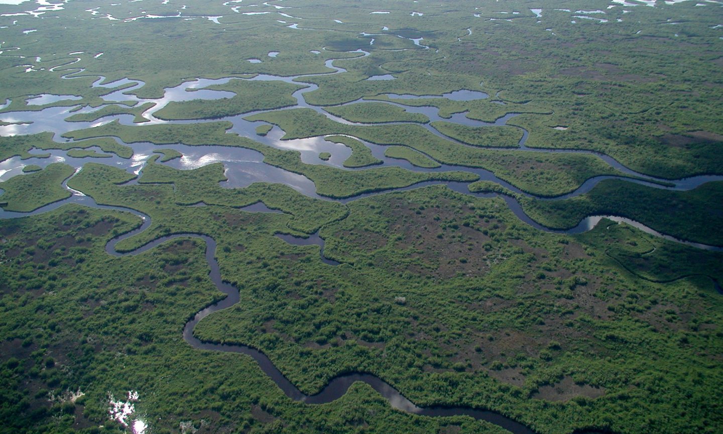 Geobiology - Department of Geological Sciences